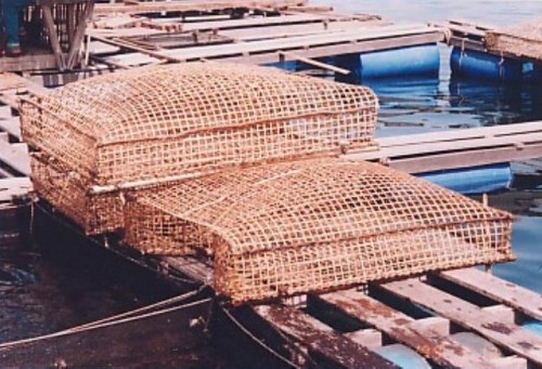 bangka | IT'S XIAOTIME!